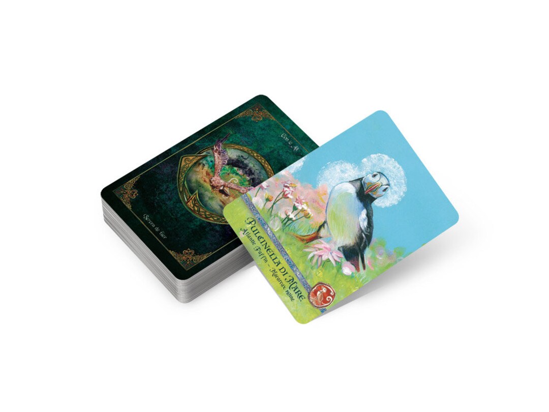 Wishes With Wings Oracle Cards and Family Game Oracle Deck Cards ...