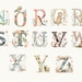 Boho Animal Alphabet Letters Clipart | Watercolor Animal Alphabet ...