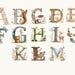 Woodland Alphabet Clipart - Cute Animal Letters | Woodland Animals ...