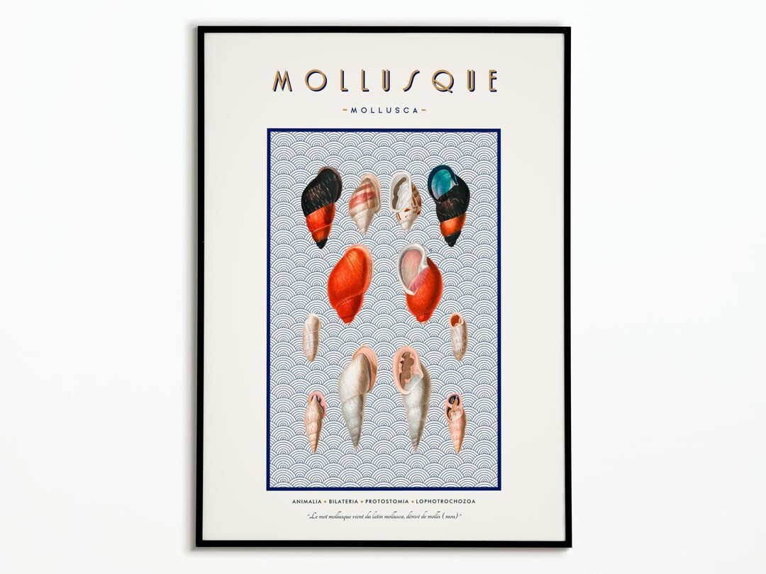 Vintage Shell Poster Vintage Shellfish Poster Poster Decoration Art ...