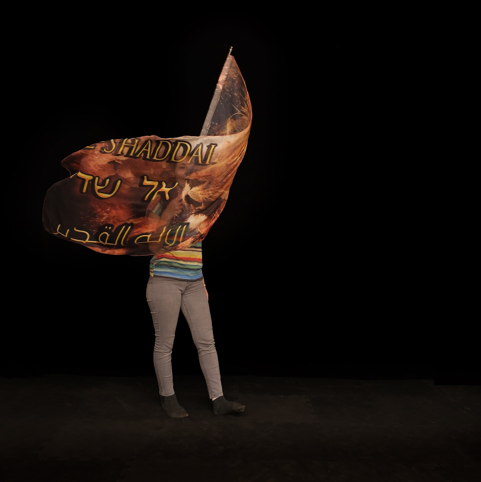 El-shaddai Worship Flag: Lion of Judah, Prophetic Banner - Etsy