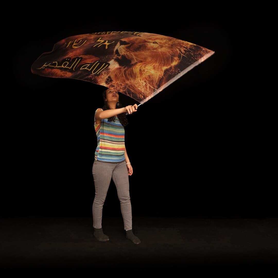 El-shaddai Worship Flag: Lion of Judah, Prophetic Banner - Etsy