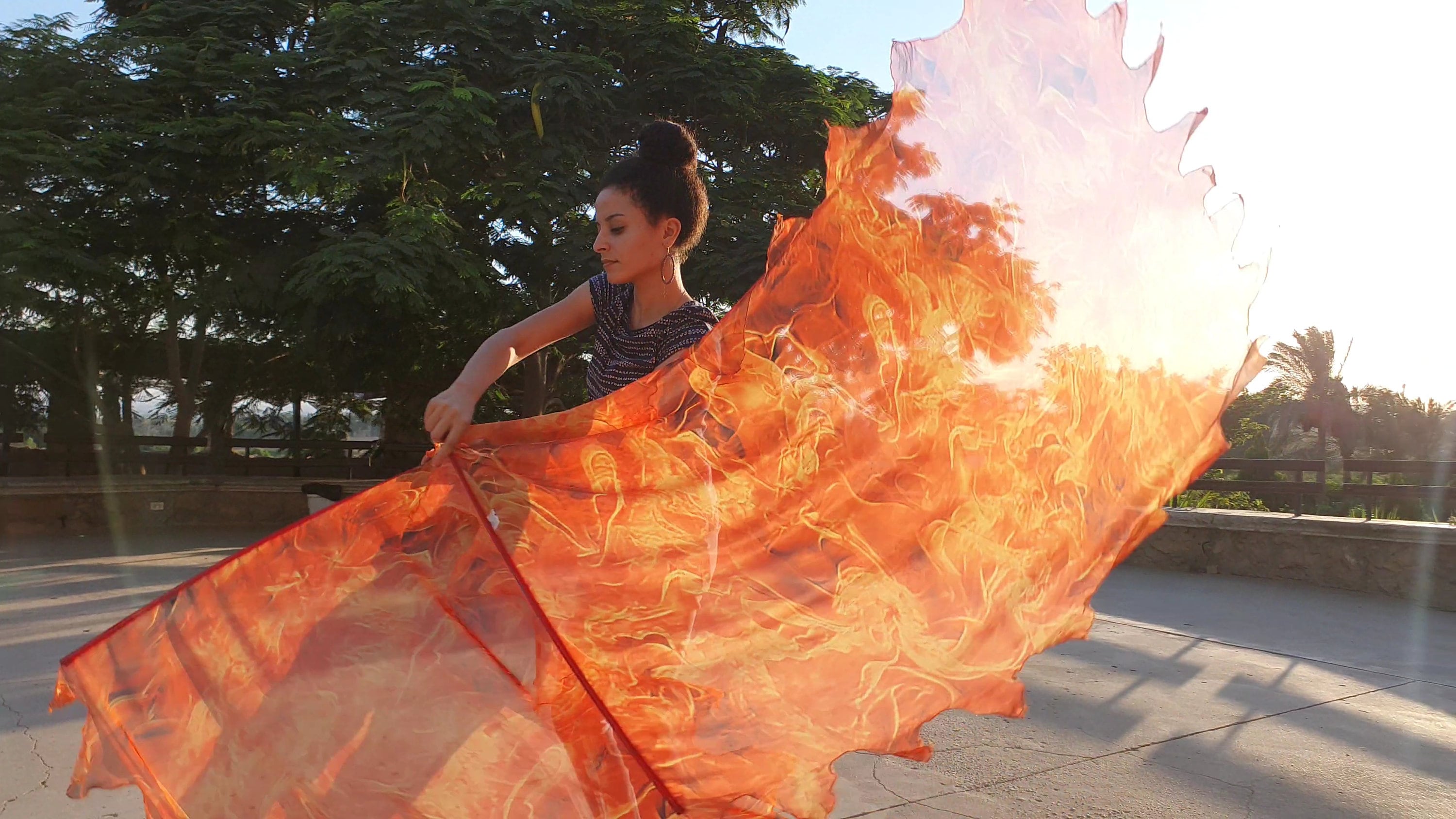 Holy Spirit Fire Dance Flag: Worship & Praise Flags - Etsy