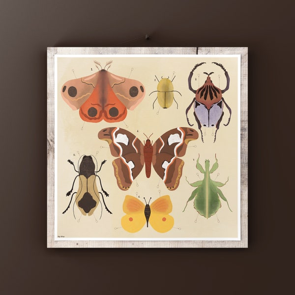 Insect Study - Etsy