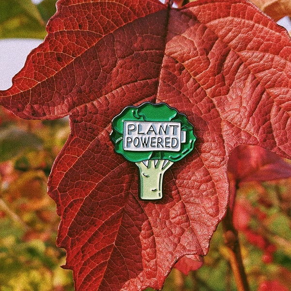 Vegan Enamel Pin - Etsy