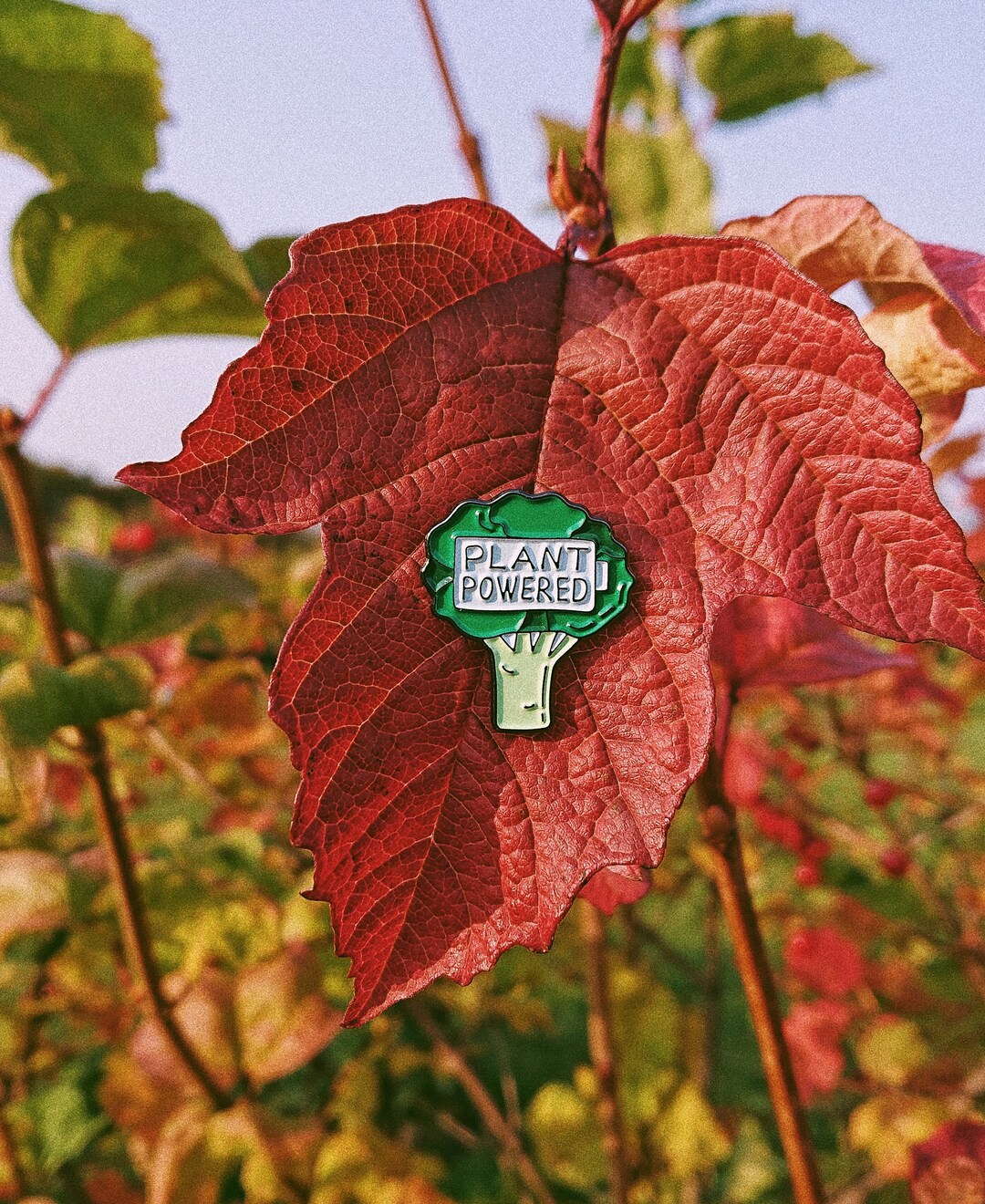 Plant Powered - Enamel Pin - Etsy