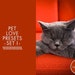 The Complete Pet Product Collection for Photographers Pet - Etsy
