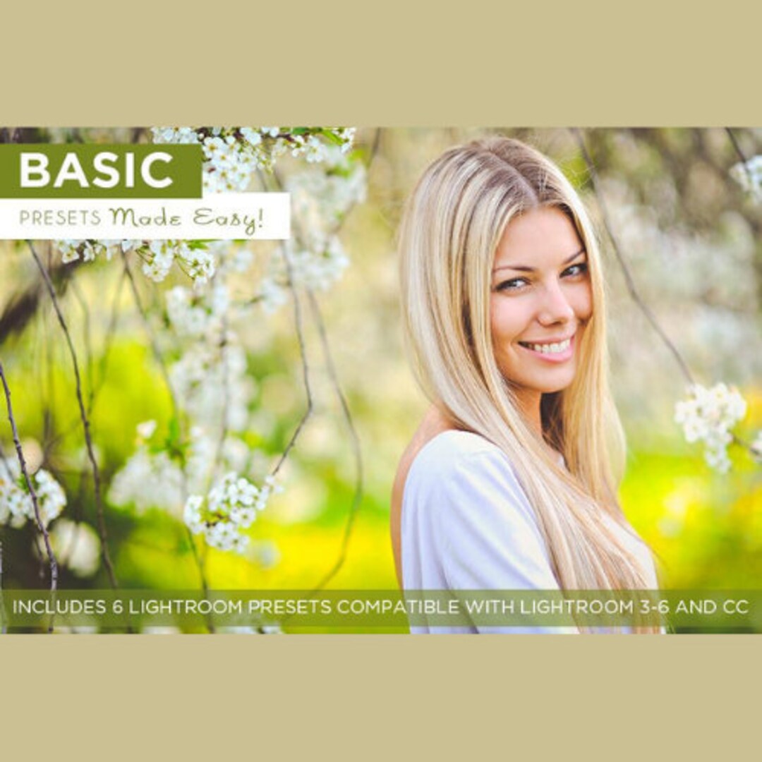 Basic Presets Made Easy! (lightroom) for Photographers - Etsy