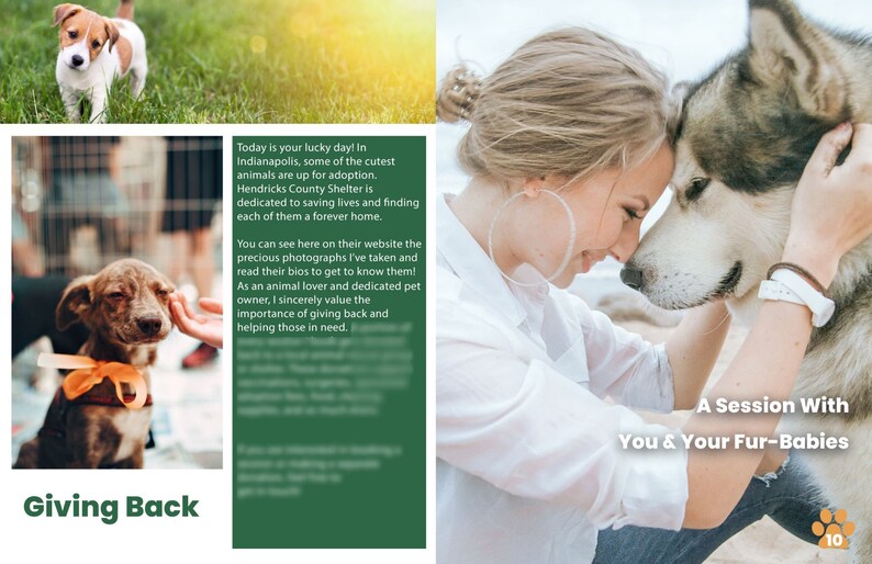 Pet Client Guide Template Welcome Packet PSD Templates - Etsy