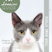 The Complete Pet Product Collection for Photographers, Pet Photography ...