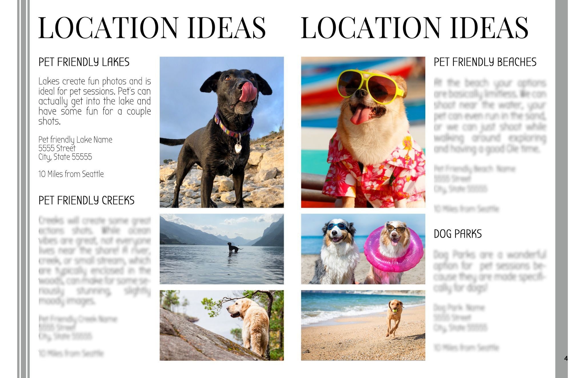 Pet Photography Location Planning Guide for Clients Client - Etsy