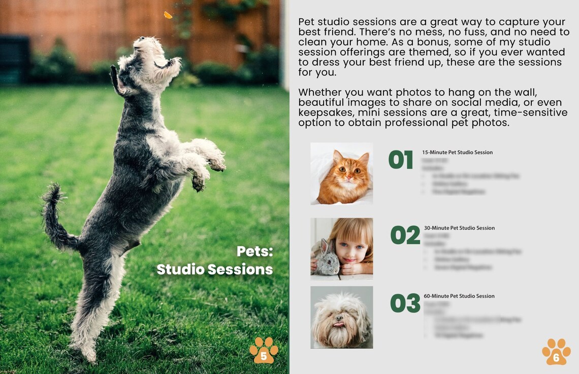Pet Client Guide Template Welcome Packet PSD Templates - Etsy