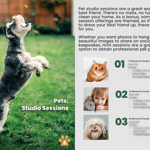 Pet Client Guide Template Welcome Packet PSD Templates Magazine ...