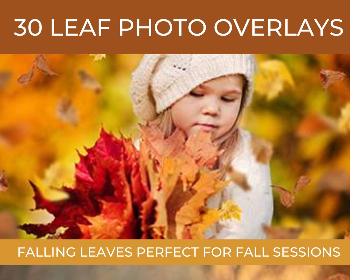 Leaf Overlays, Photographer Leaf Photo Overlays, Falling Leaves, Autumn ...