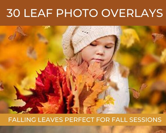 Leaf Overlays Photographer Leaf Photo Overlays Falling | Etsy