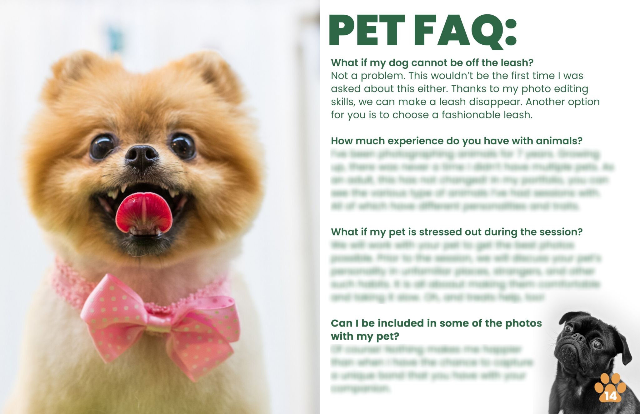 Pet Client Guide Template Welcome Packet PSD Templates - Etsy