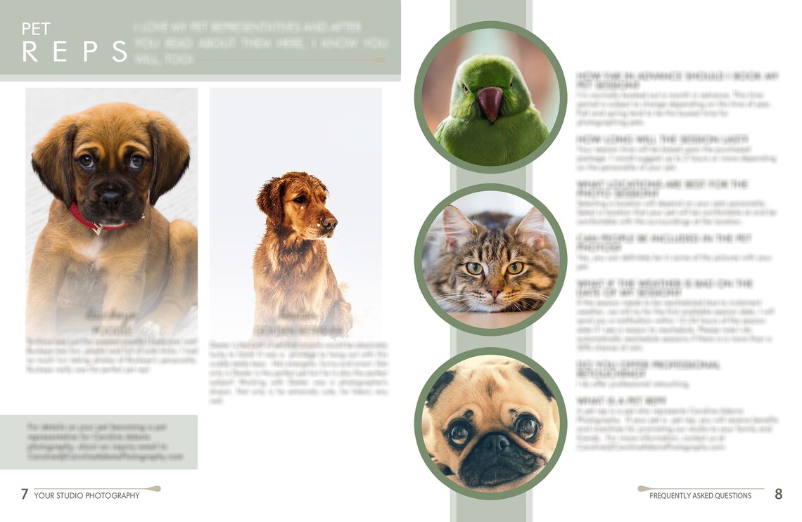 Pet Photography Welcome Packet Template Client Guide - Etsy