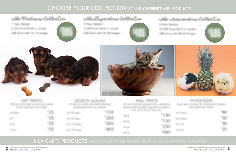 Pet Photography Welcome Packet Template Client Guide - Etsy