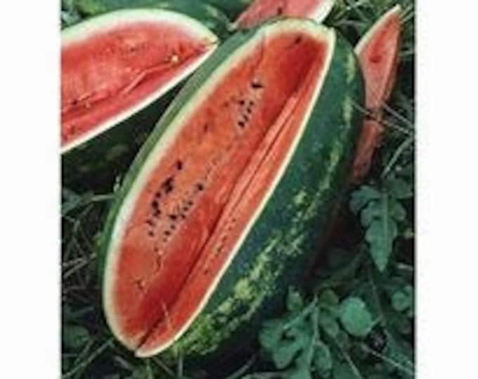 Congo Watermelon Seeds - Etsy