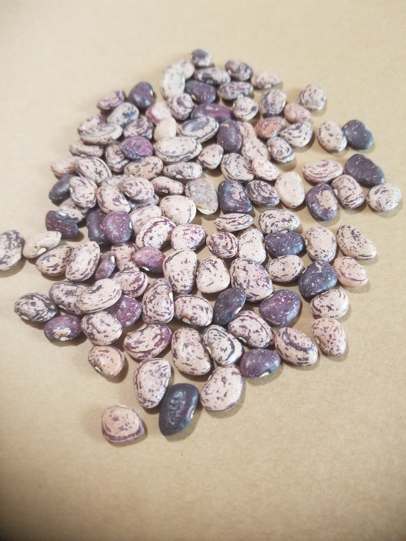 Jackson Wonder Speckled Butter Beans - Etsy