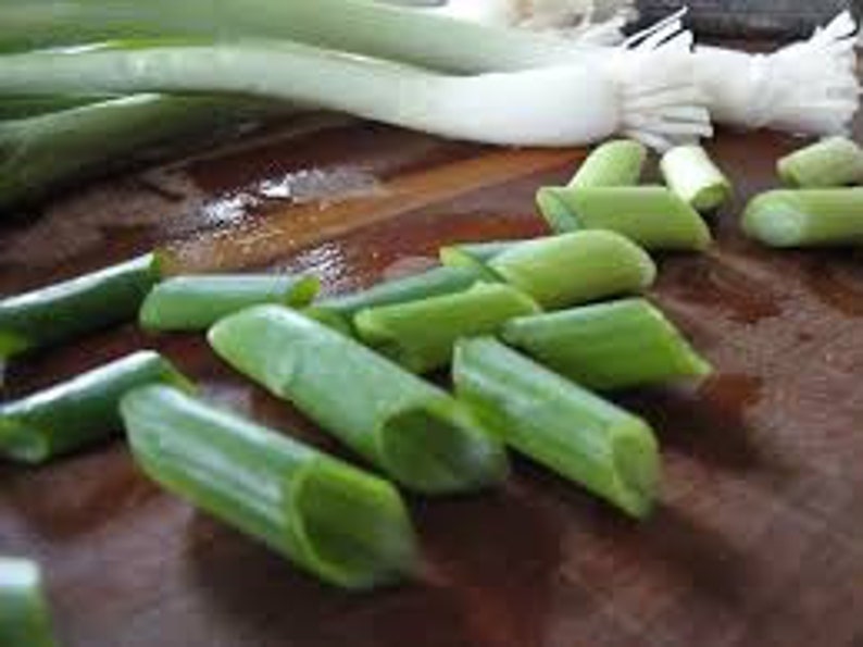 Parade Bunching Onions/scallions - Etsy