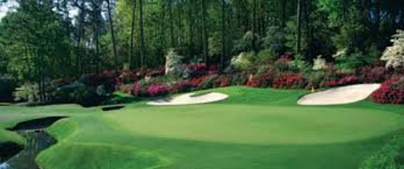 Gold Glove Bermuda Grass