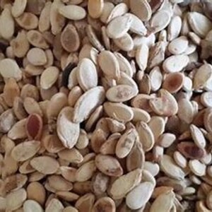 Congo Watermelon Seeds - Etsy