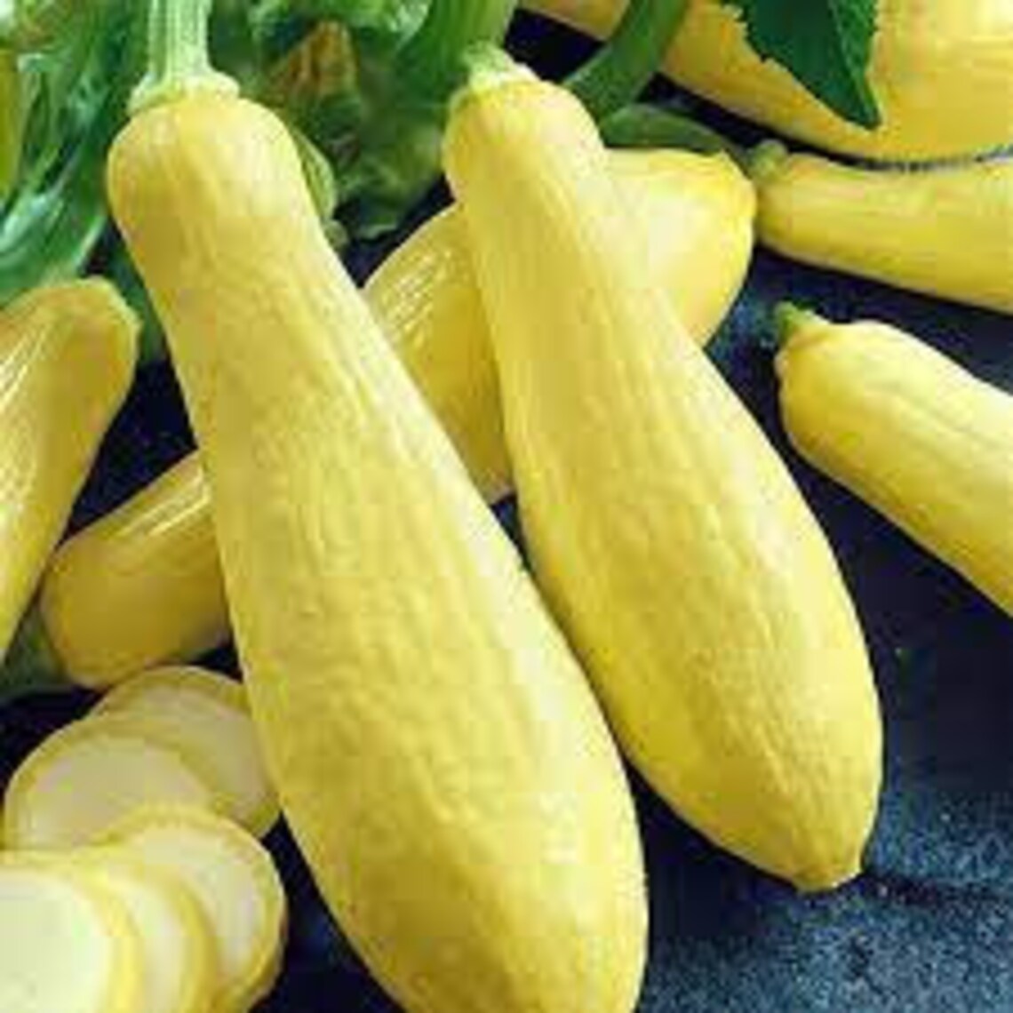 Graines de courge jaune à col droit - Etsy France