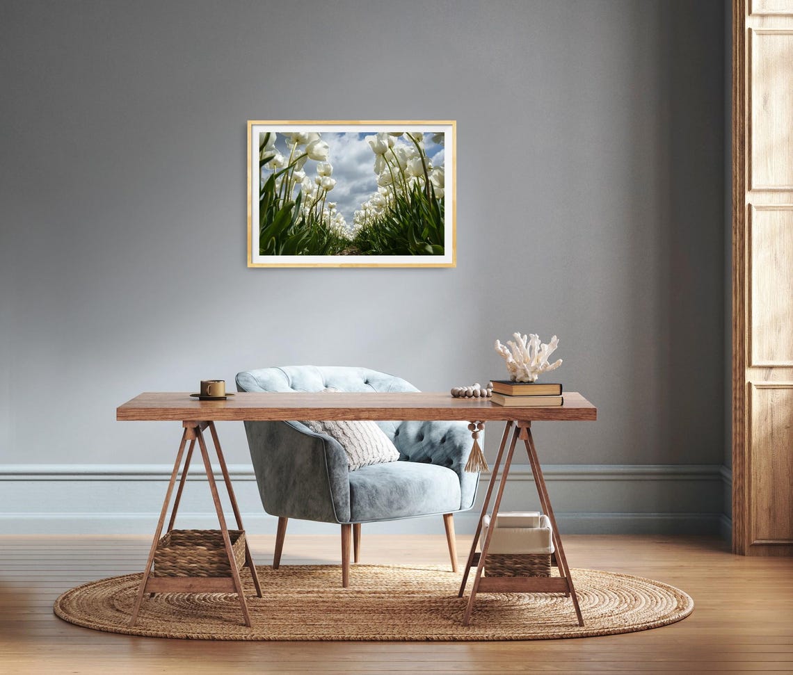 Flower - Tulips, White in Rows - Digital Photo Download JPG - Etsy