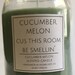 3 Wick the Green Smells Obscene. Funny Clever Candle Labels. - Etsy