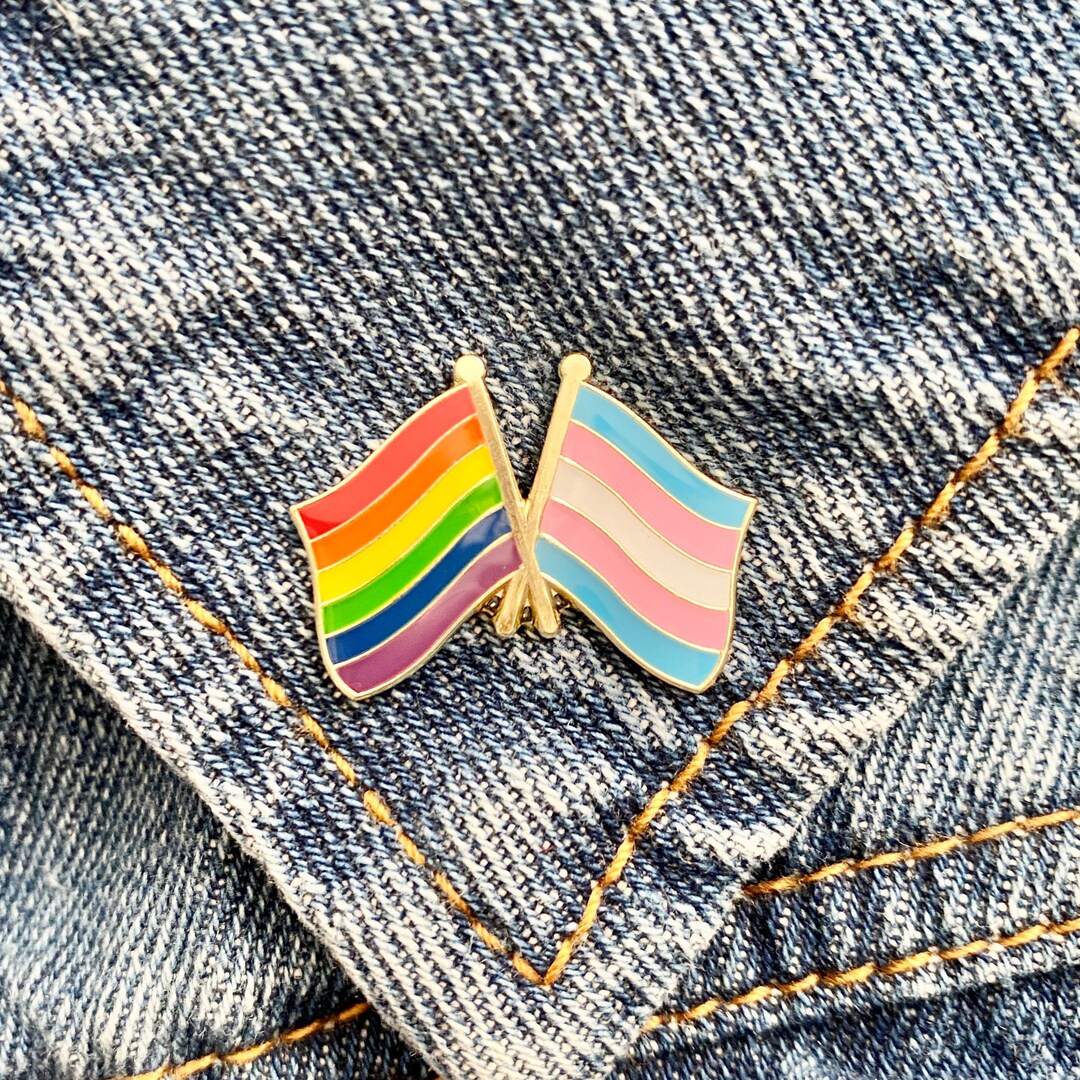 Gay Pride & Trans Pride Flags Pin, Subtle Pride, Trans Pride ...