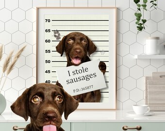 Custom Pet Mugshot Custom Pet Portrait Dog Mugshot Cat Mugshot Dog ...