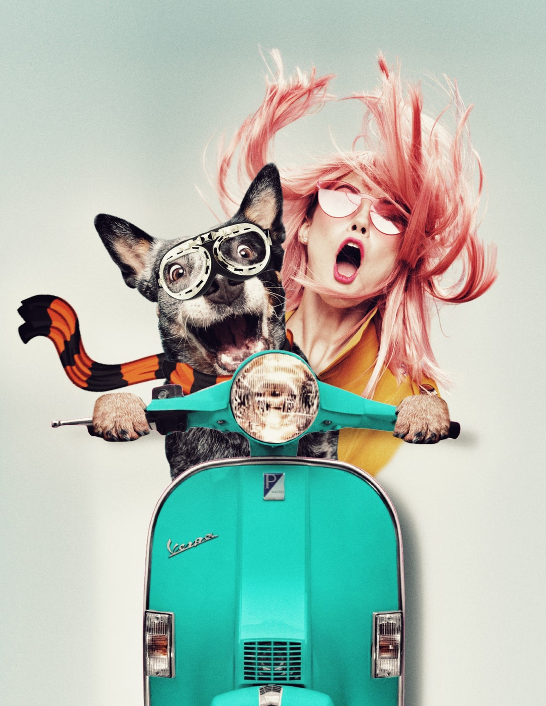 Custom Pet or Human Portrait on Retro Vespa Scooter Personalized Art ...