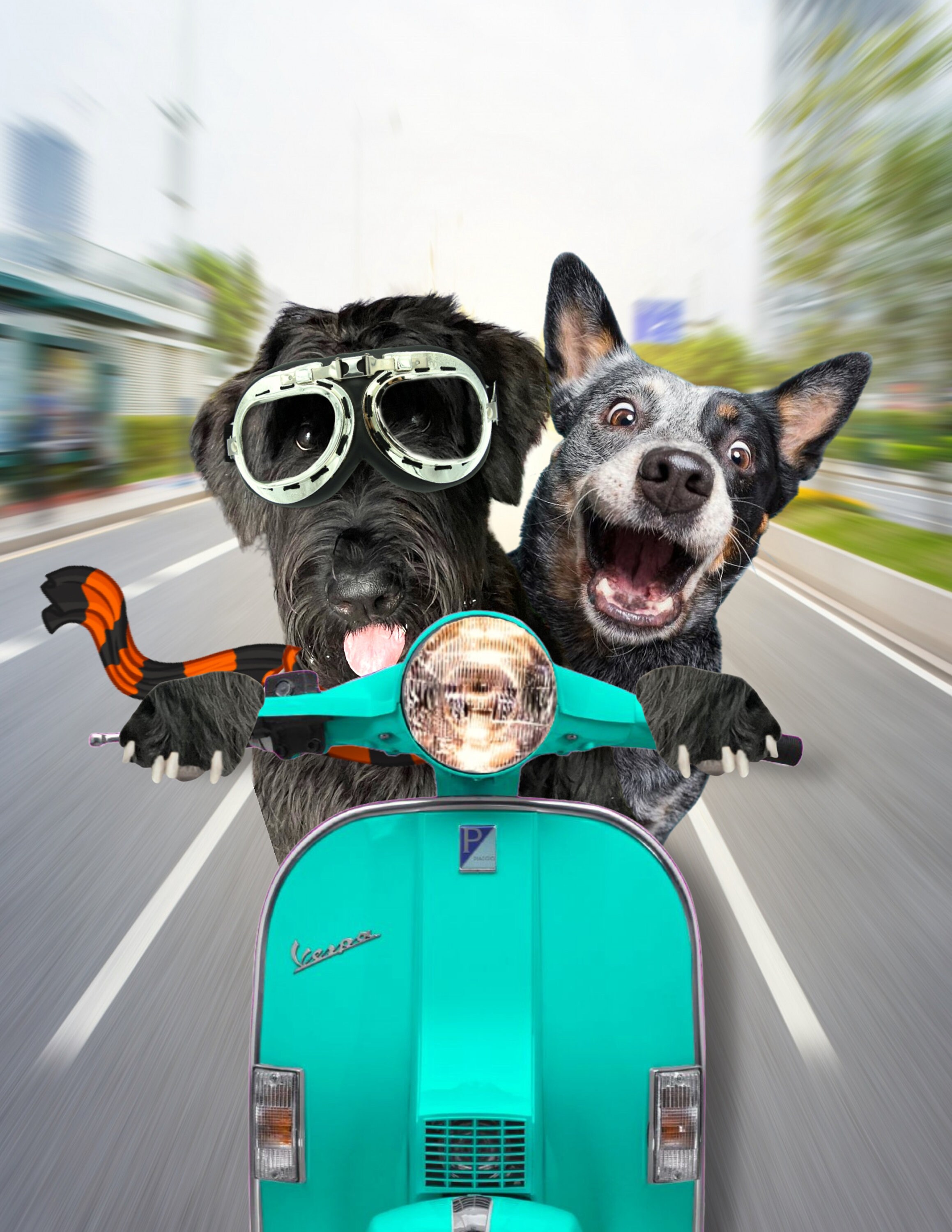 Custom Pet Portraits on a Retro Vespa - Fun Personalized Art for Pet ...