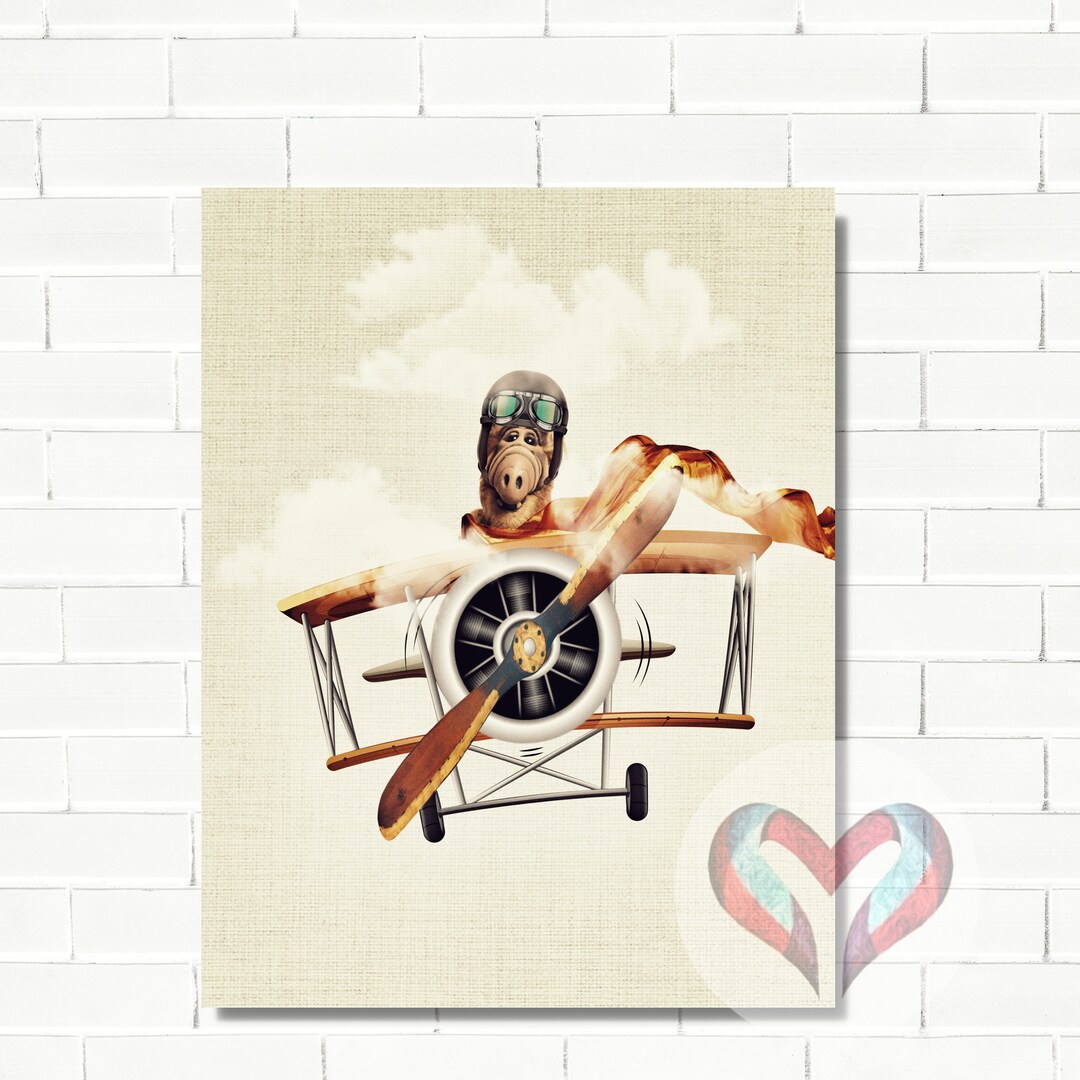 Custom Alf-inspired Pet Portraits in Vintage Retro Airplane Themes ...