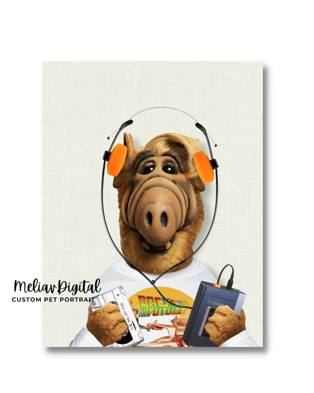 Custom ALF Portrait With Your Pet's Face Personalized 80s and 90s ...