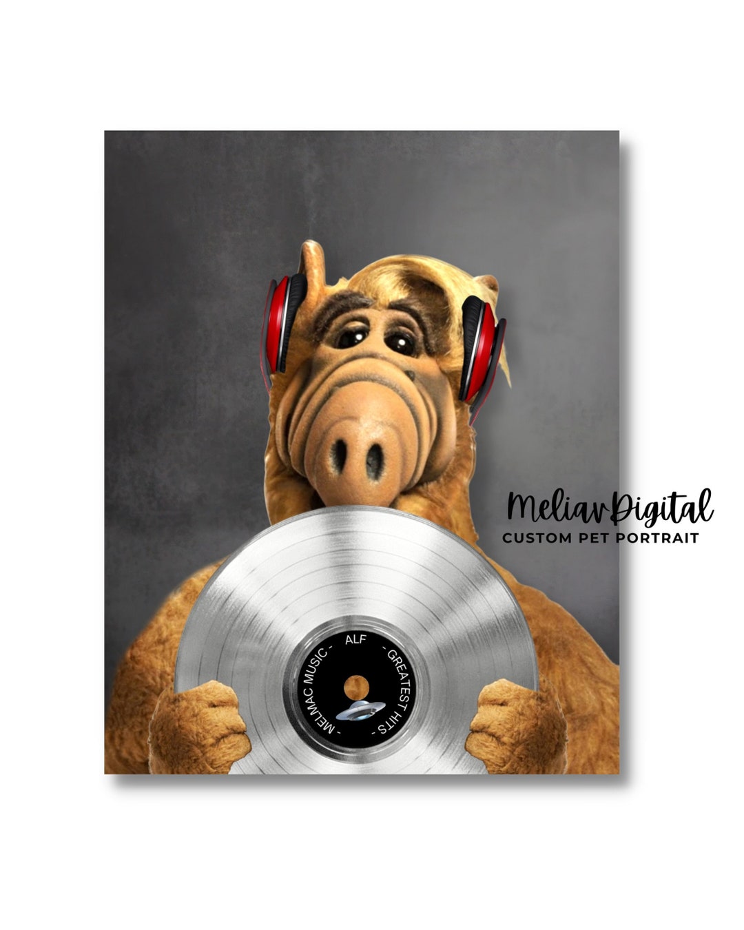 Custom ALF Portrait With Your Pet's Face Personalized 80s and 90s ...