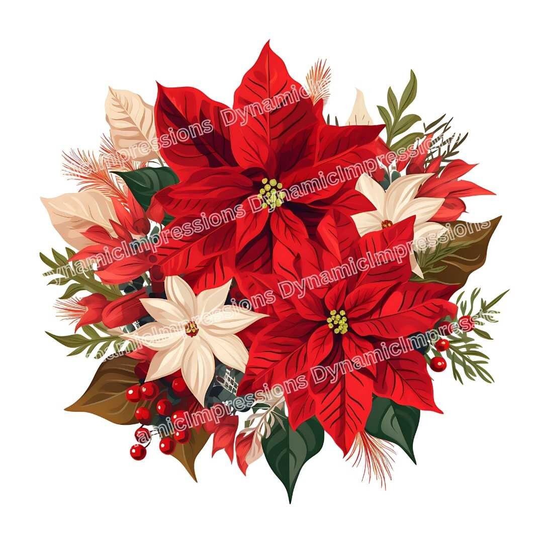 Festive Poinsettia Bouquet | Poinsettia PNG | Christmas Poinsettias ...