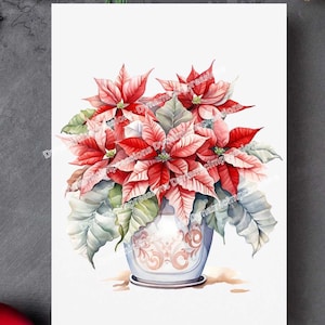 Watercolor Potted Poinsettias | Poinsettia PNG | Christmas Poinsettias ...