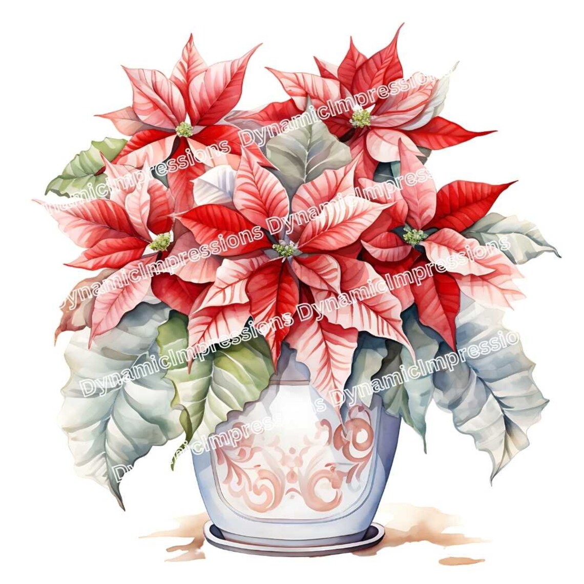 Watercolor Potted Poinsettias Poinsettia PNG Christmas Poinsettias ...
