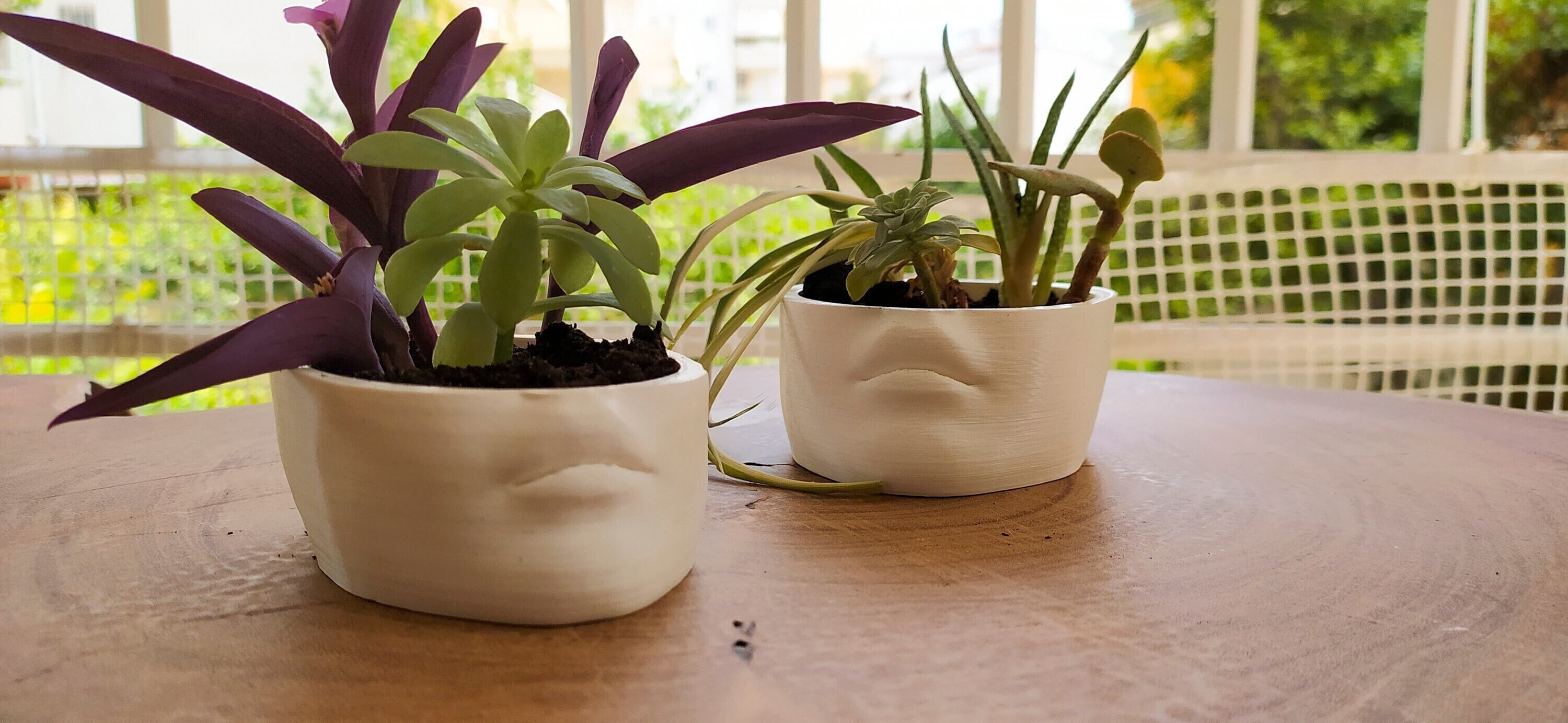 Head Face Planters / Head Planters / Female Lips Planter /face | Etsy