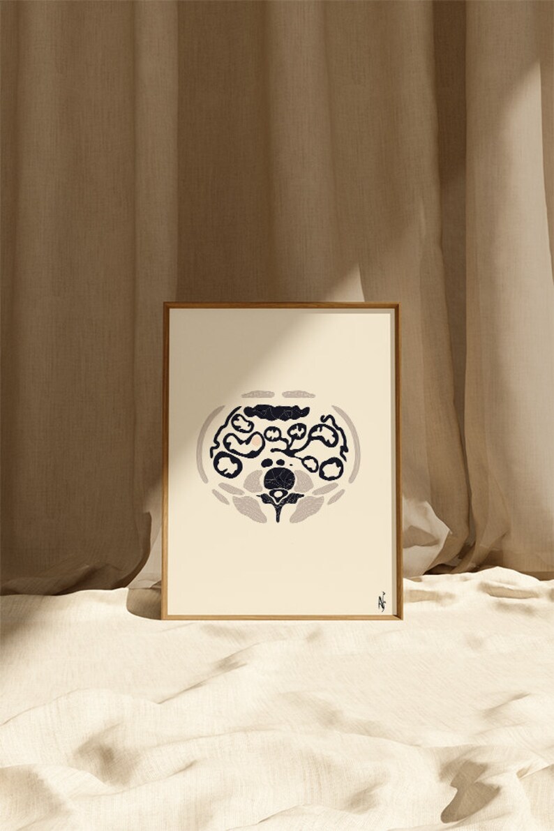 Abdomen Cross Section Anatomy Art Print-boho Minimalist - Etsy UK