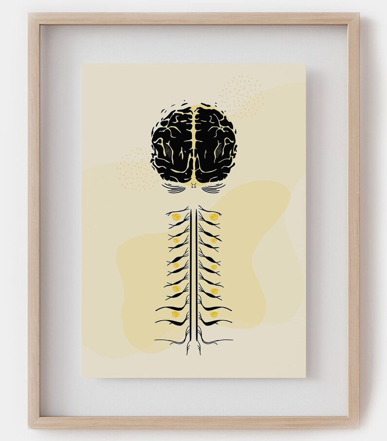 Brain Spinal Cord Anatomy Art Print-minimalist Neuroanatomy | Etsy