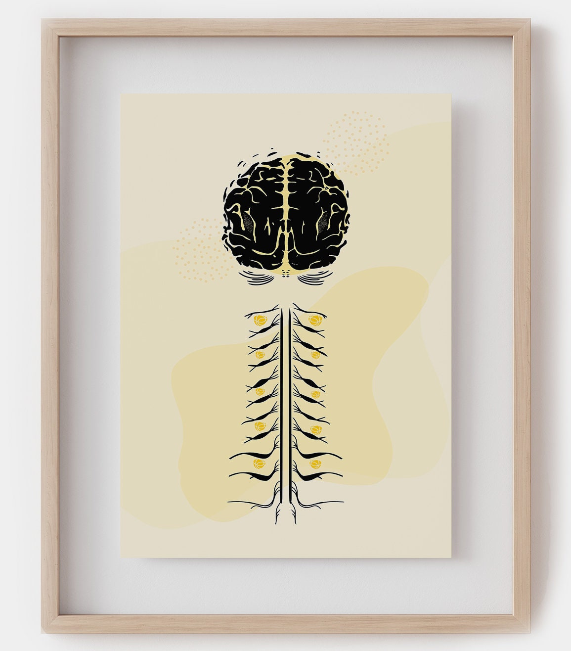 Brain Spinal Cord Anatomy Art Print-minimalist Neuroanatomy - Etsy
