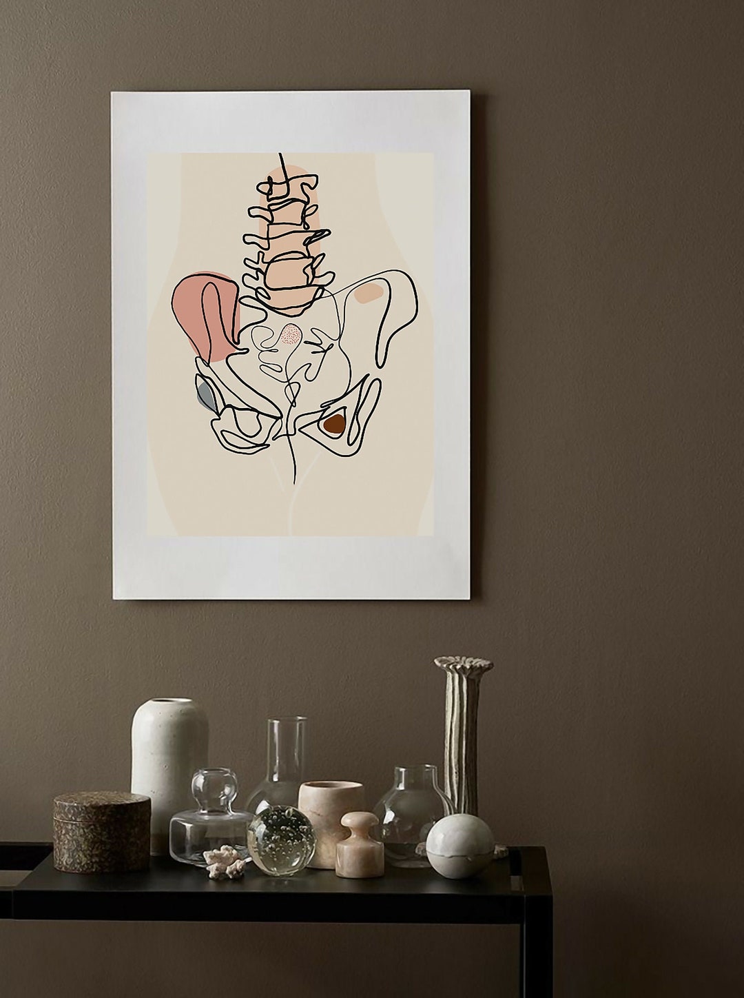 Pelvis Anatomy Line Art-pelvic Bone-chiropractor Orthopedic Surgeon ...