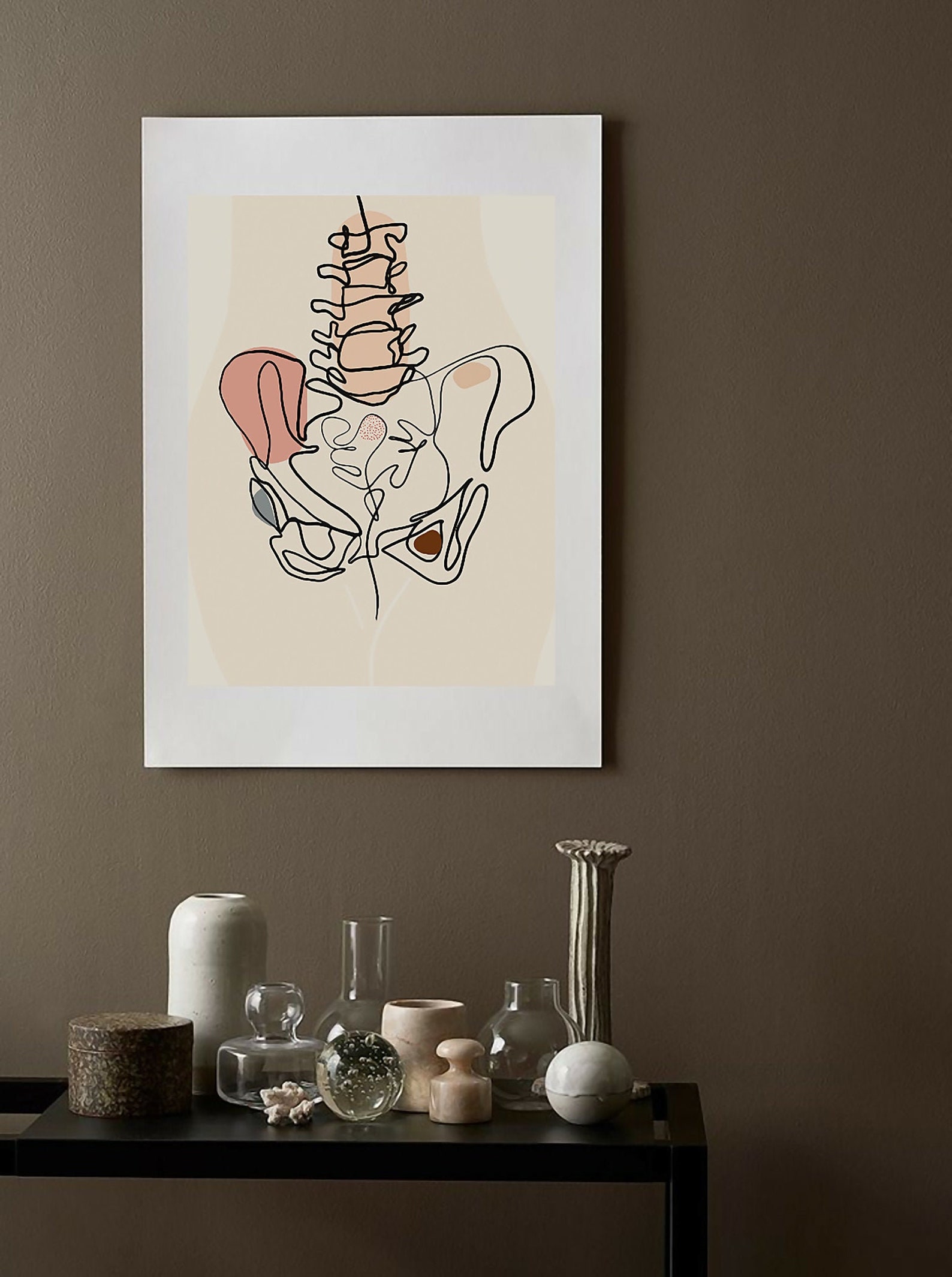 Pelvis Anatomy Line Art-pelvic Bone-chiropractor Orthopedic - Etsy