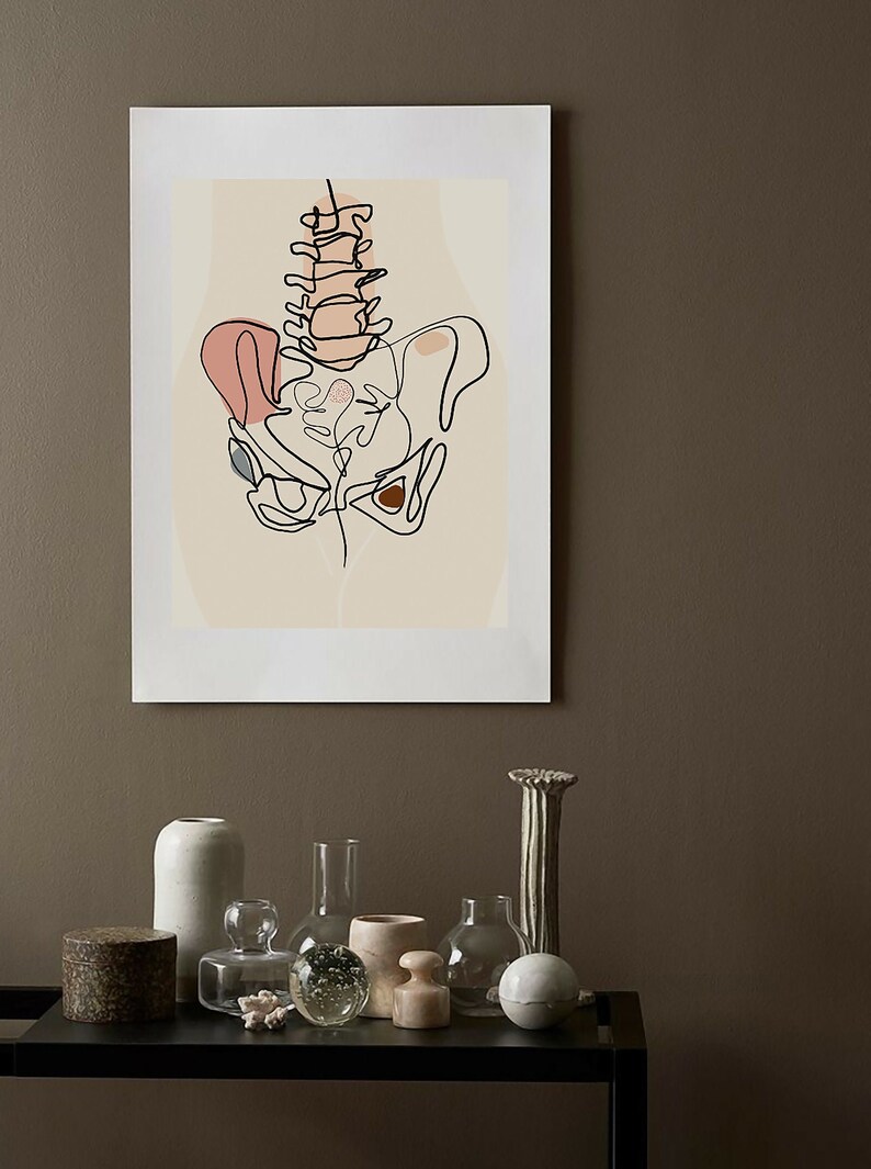 Pelvis Anatomy Line Art-pelvic Bone-chiropractor Orthopedic - Etsy