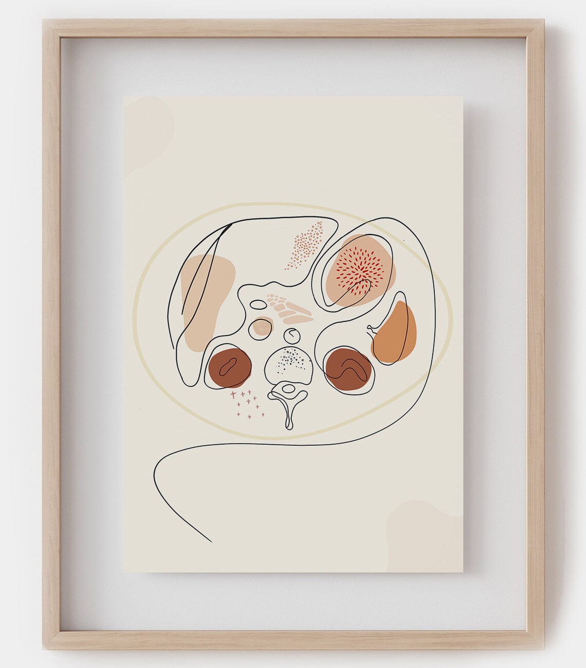 Abdomen Cross Section Anatomy Line Art Print Gastrointestinal - Etsy