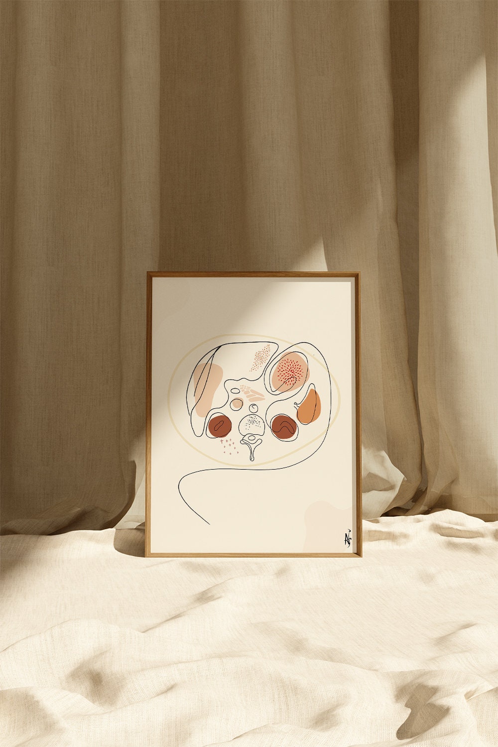 Abdomen Cross Section Anatomy Line Art Print Gastrointestinal - Etsy