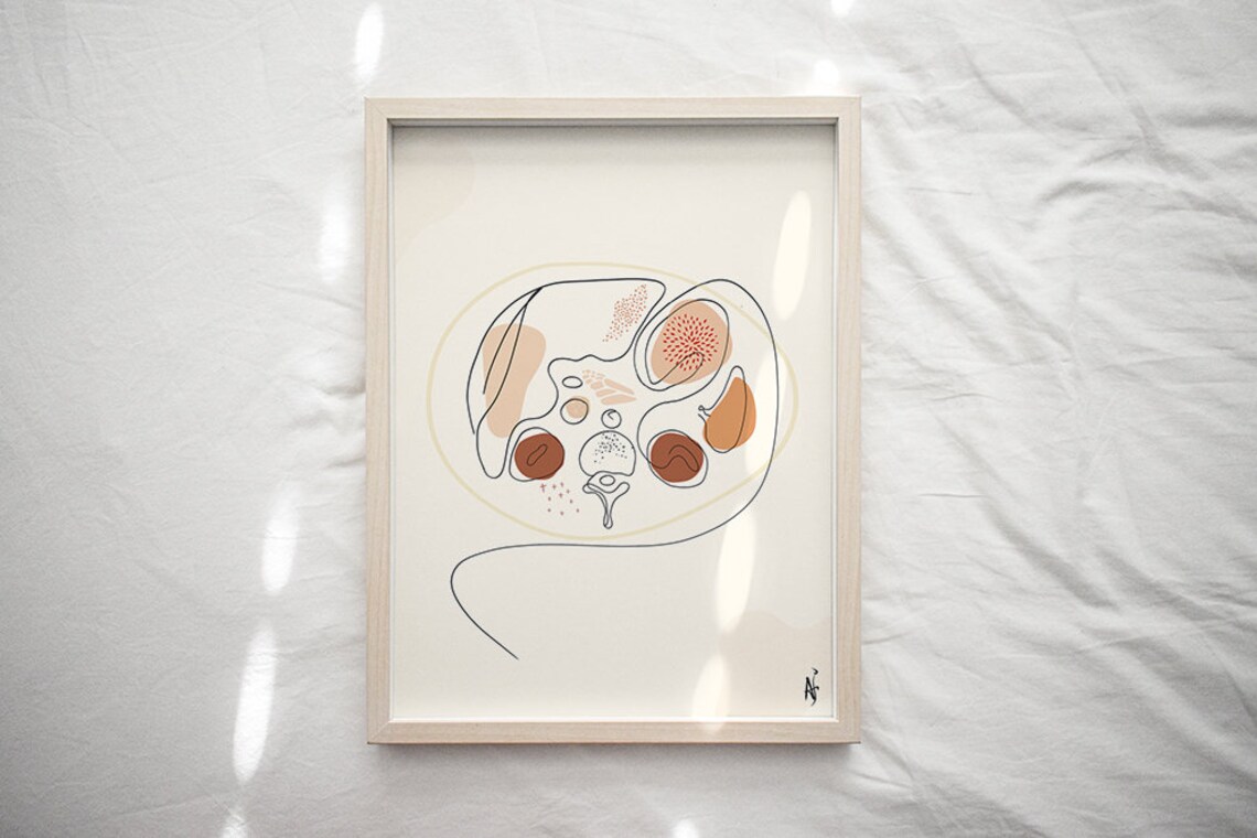 Abdomen Cross Section Anatomy Line Art Print Gastrointestinal - Etsy